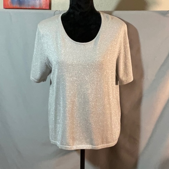 Allison Daley | Tops | Allison Daley Petite Metallic Top | Poshmark